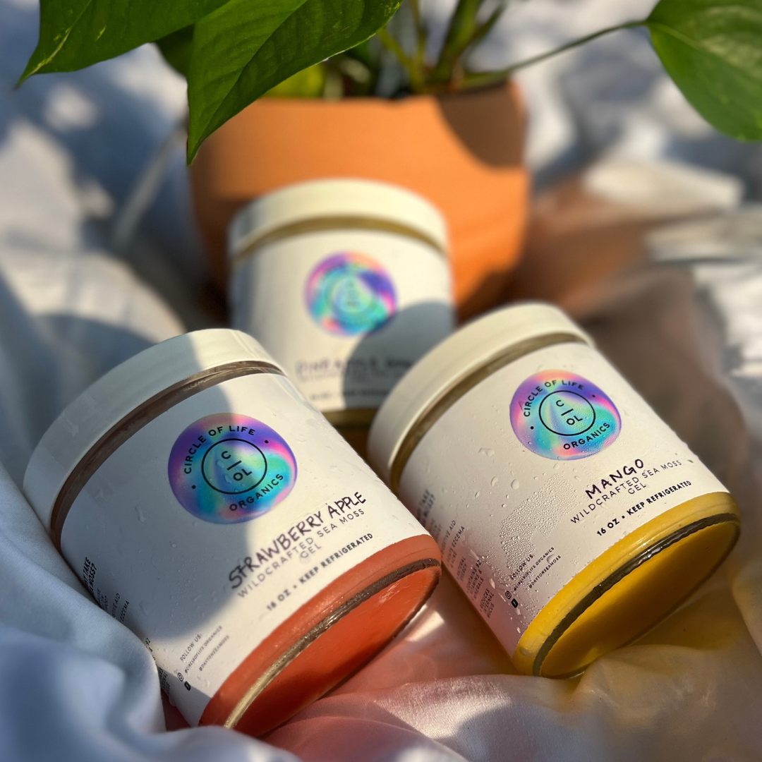 Flavored Sea Moss Gel – Circle of Life Organics